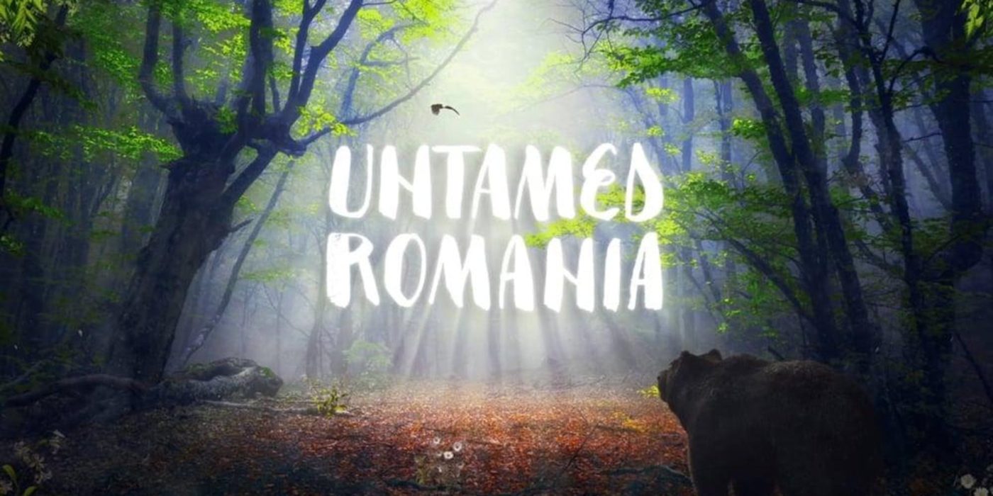 Alianta supports Chicago Event with Film Screening – Alianta ...